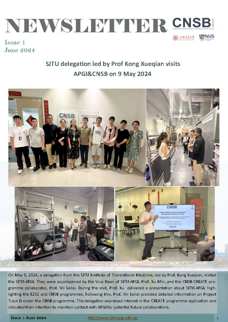 CNSB Newsletter - Issue 4 (December 2024)